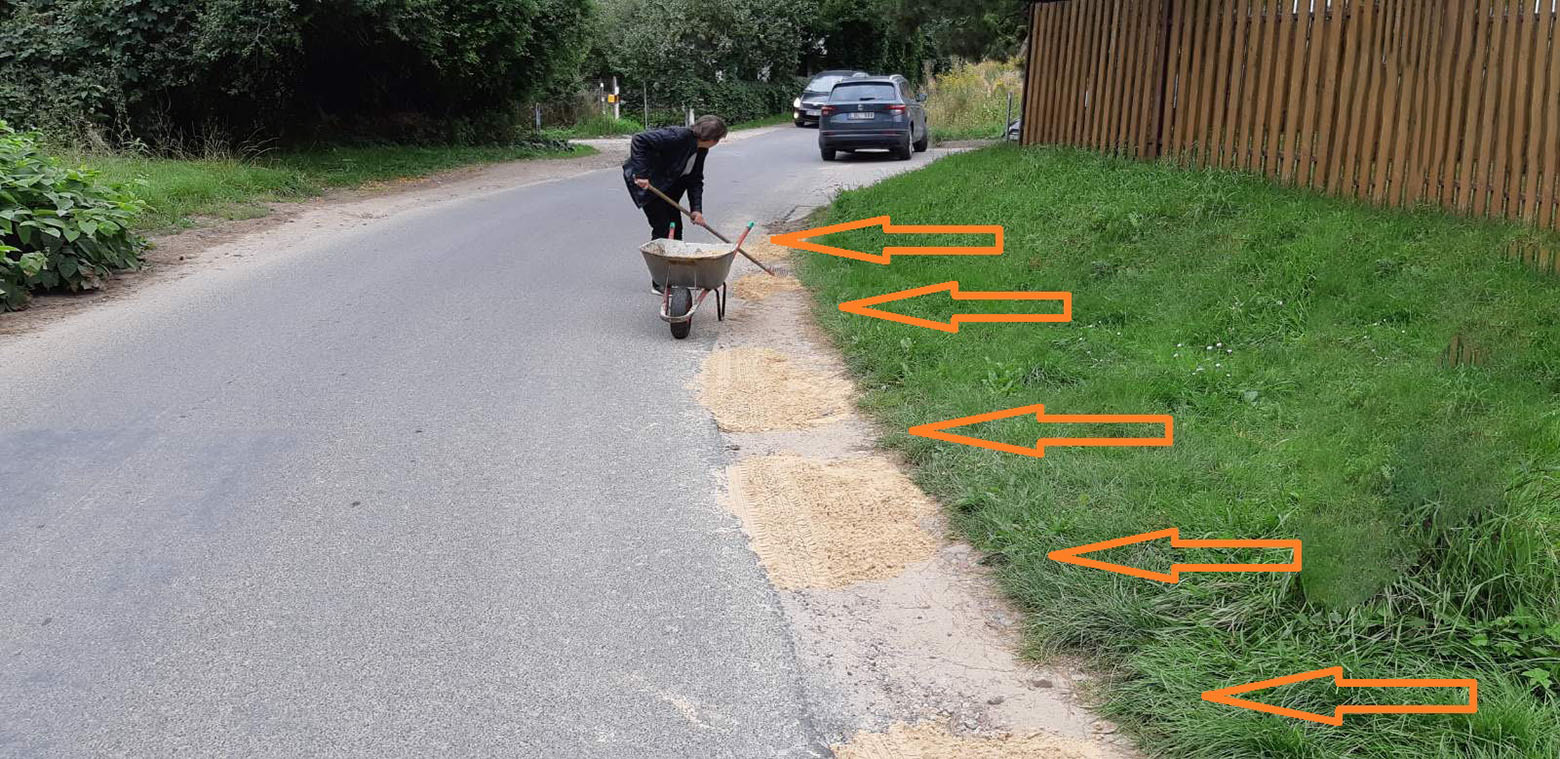 Visoriai | s.b. Aušra